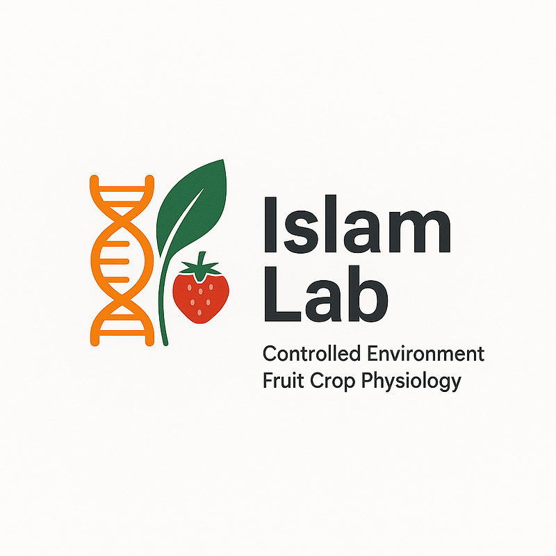 Islam Lab