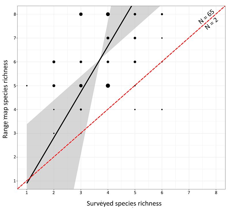 Anna Thonis - Research