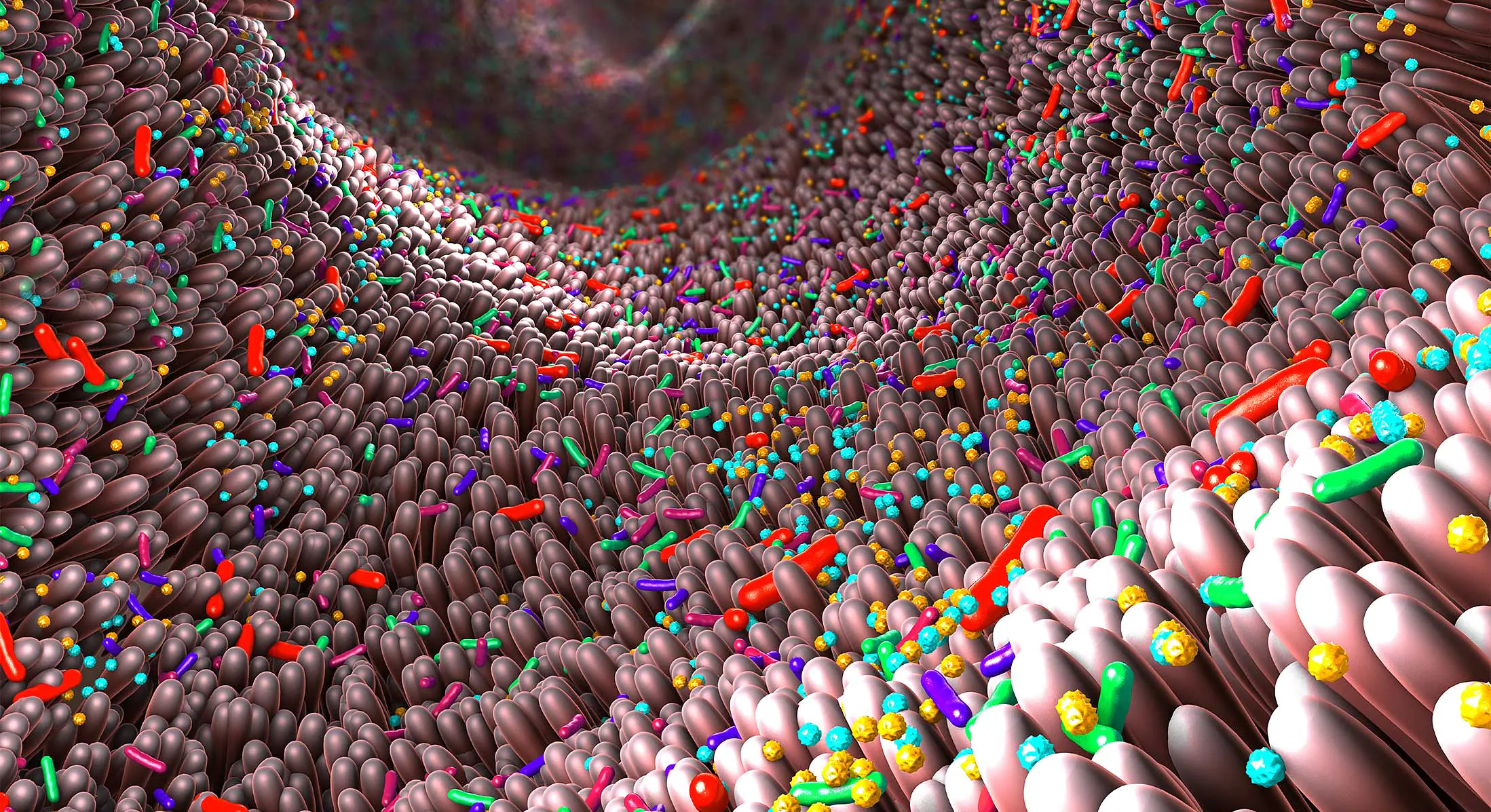 FermiBiotics: Fermentation-derived health-promoting microbes and