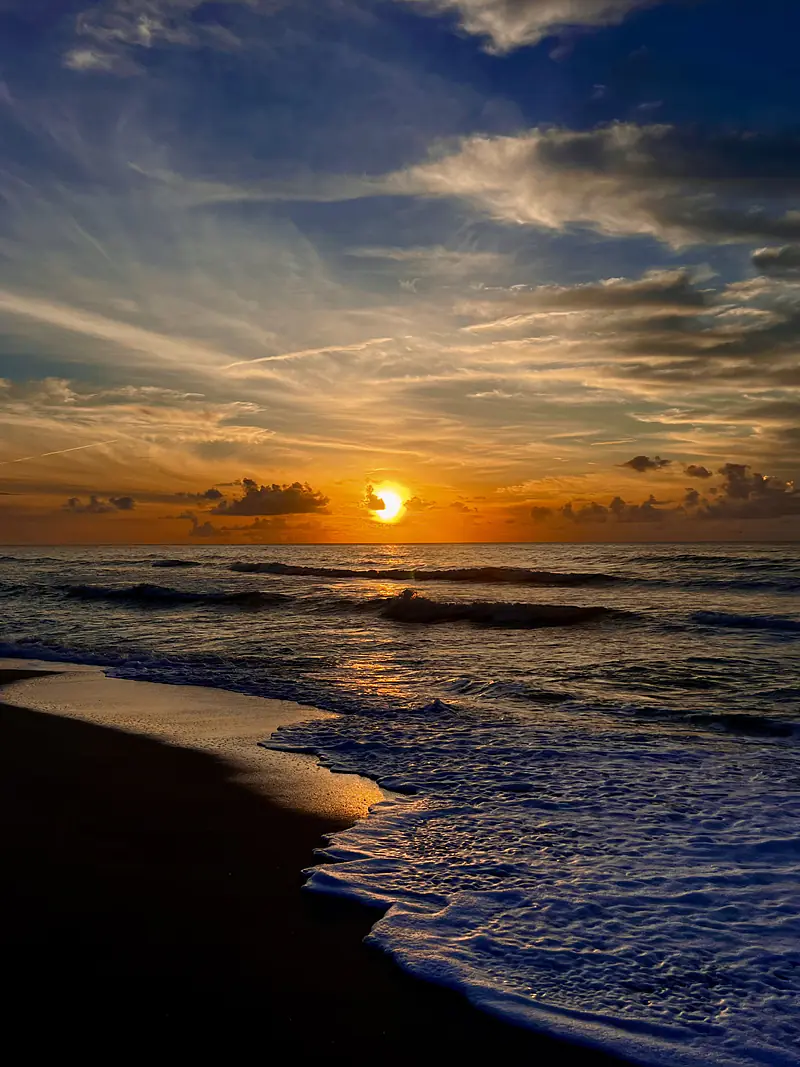 Lin Tran - Writing Samples