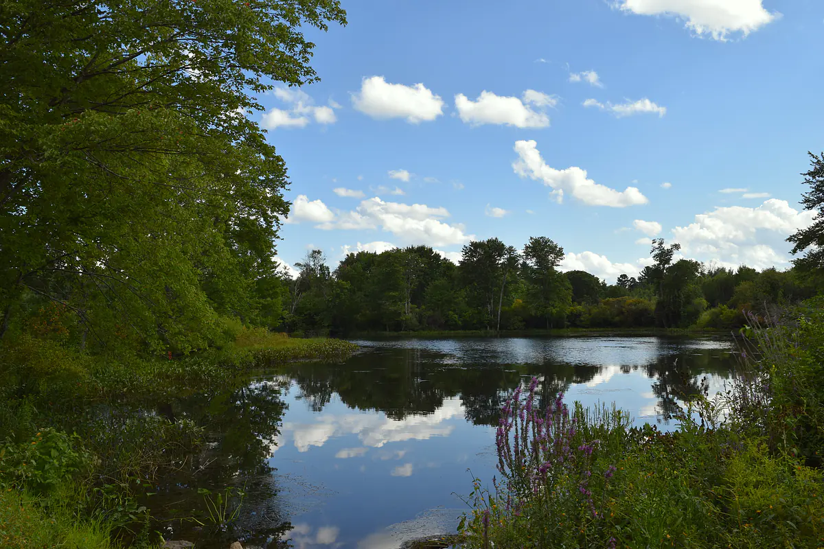 Michelle Drake - Literary Researcher and Essayist