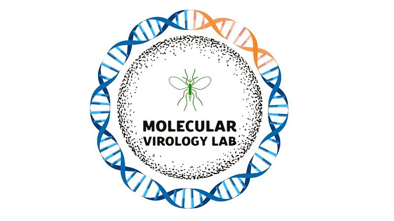 Molecular Virology Lab